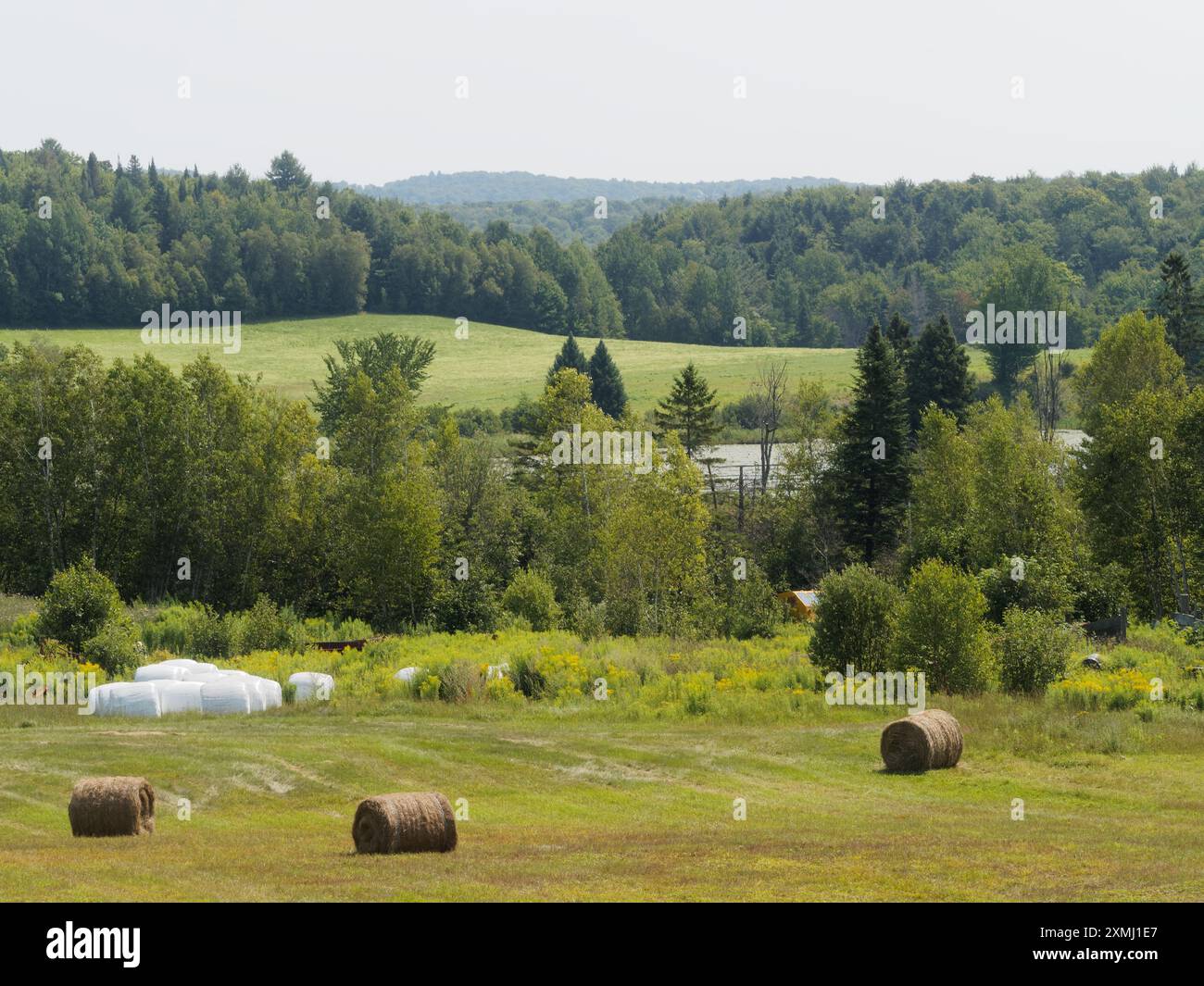 Quebec wildfire hi-res stock photography and images - Alamy