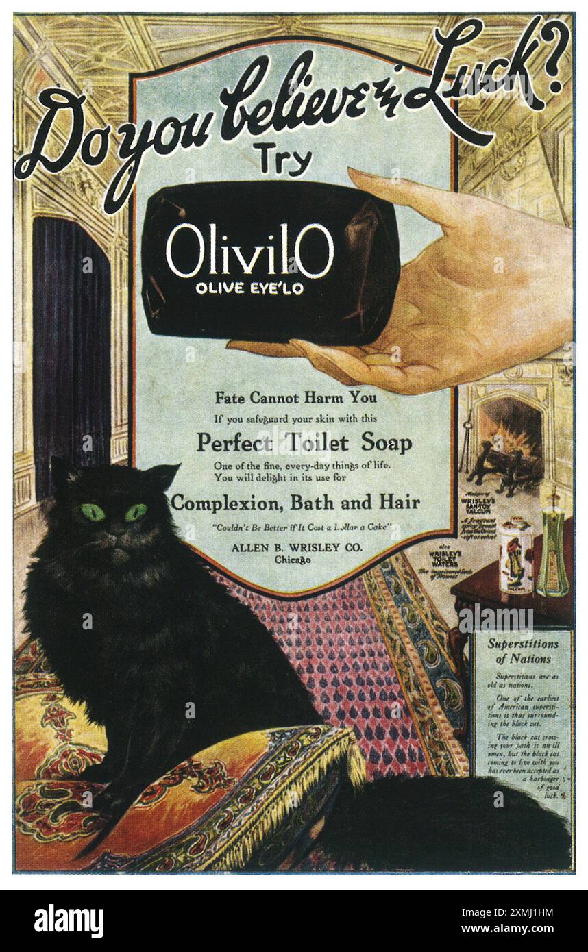 Cat care campaign hi-res stock photography and images - Alamy