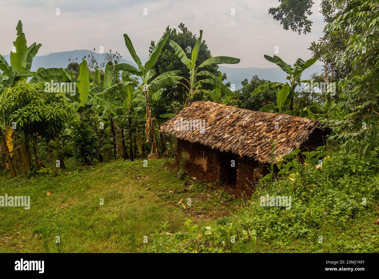 Rural house near Budadiri, Uganda Stock Photo - Alamy
