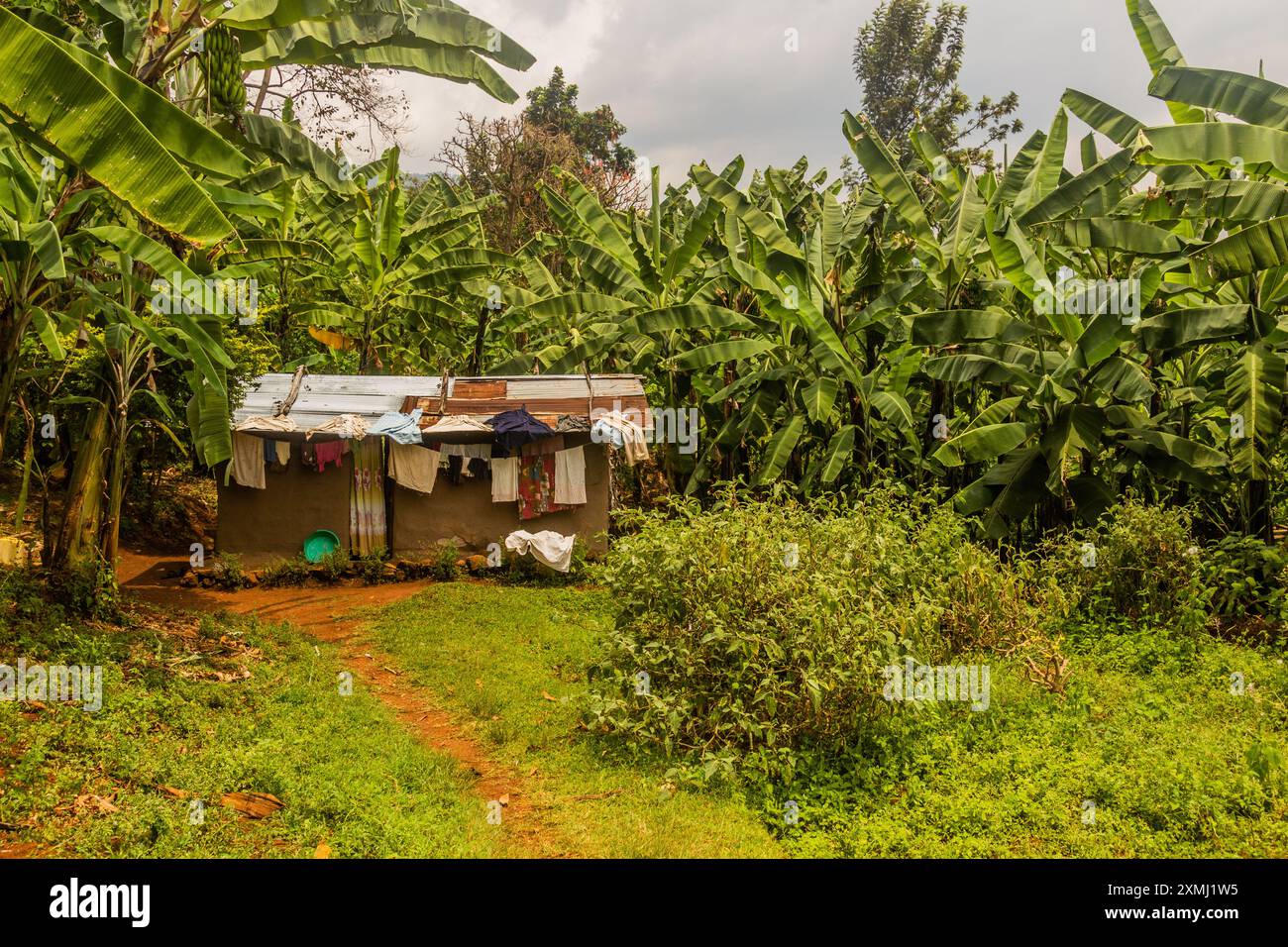 Rural house near Budadiri, Uganda Stock Photo - Alamy