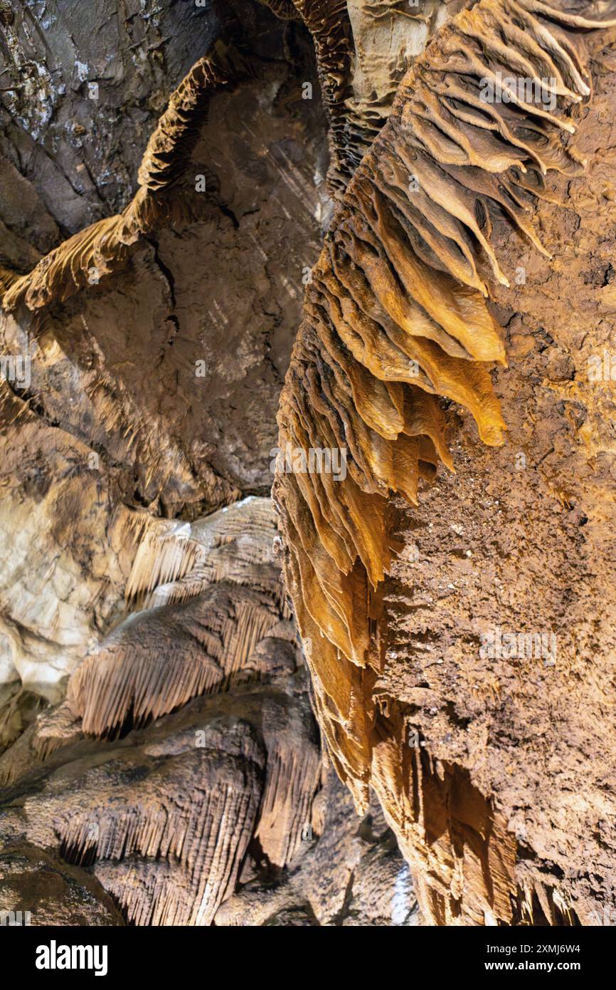 Features detailed textures hi-res stock photography and images - Alamy