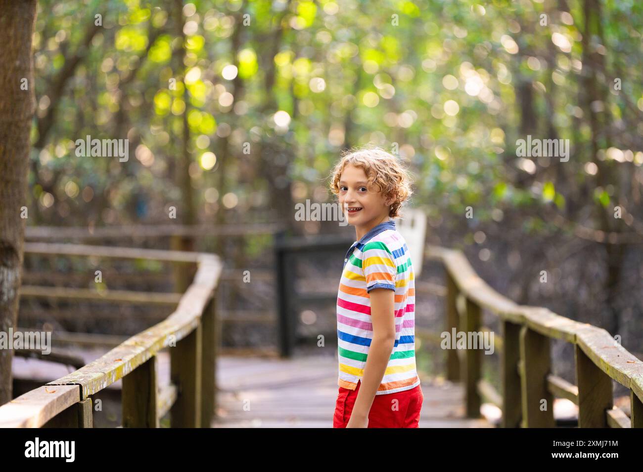 Kids explore nature. Children hike in sunny summer park. Scout club and ...