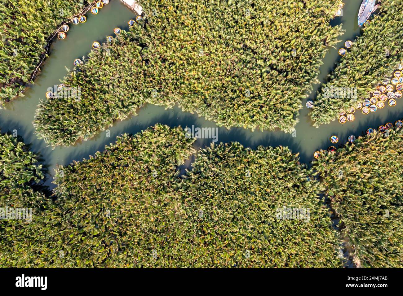 VIEW OF RUNG DUA BAY MAU OR COCONUT WATER ( MANGROVE PALM ) FOREST 7 ...