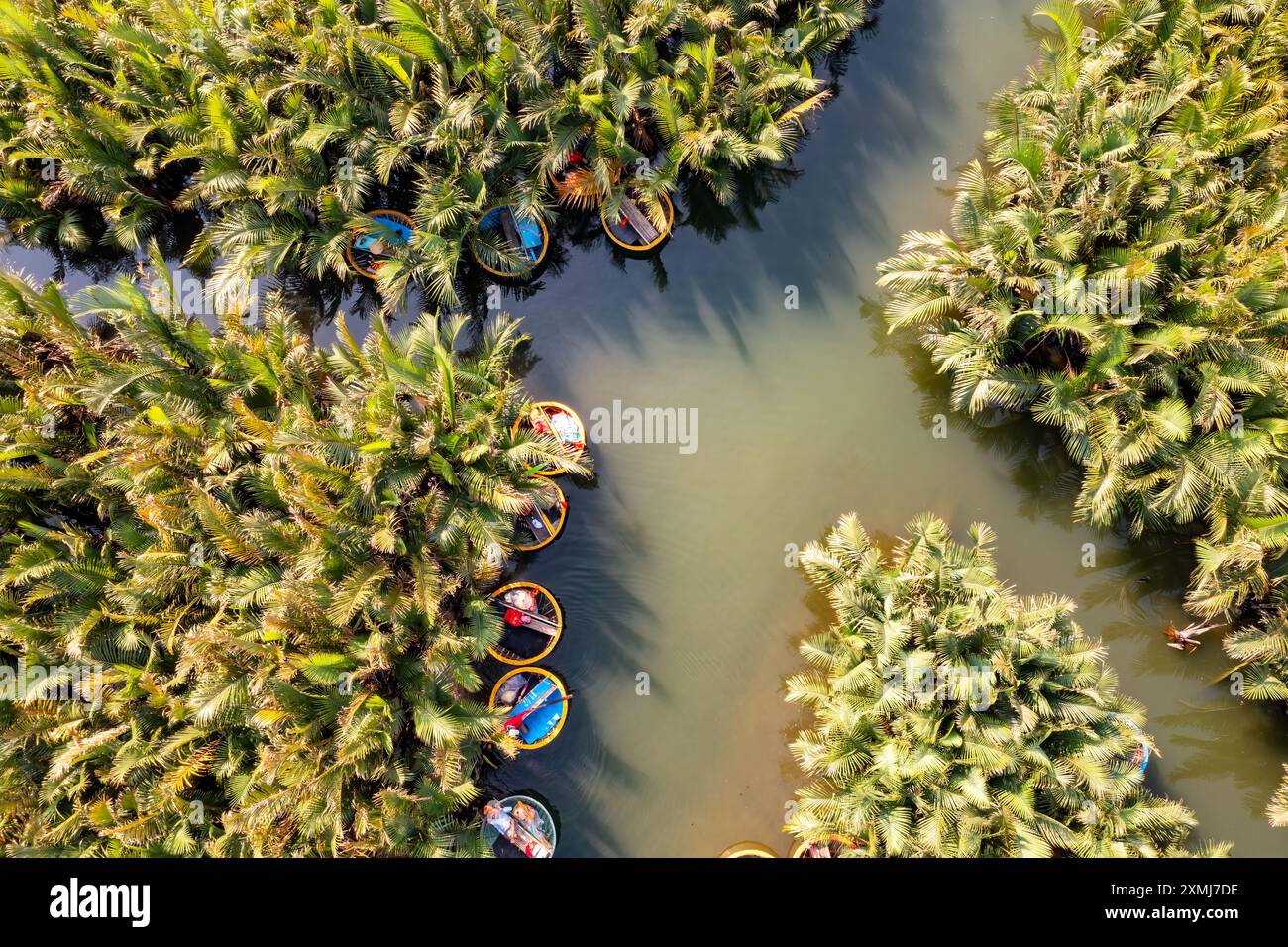 VIEW OF RUNG DUA BAY MAU OR COCONUT WATER ( MANGROVE PALM ) FOREST 7 ...