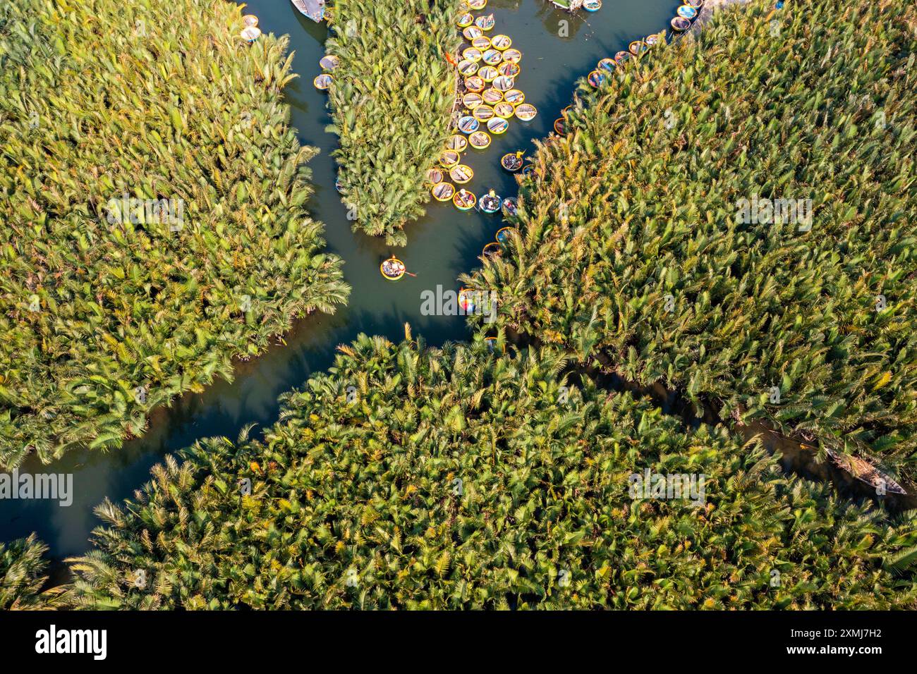 VIEW OF RUNG DUA BAY MAU OR COCONUT WATER ( MANGROVE PALM ) FOREST 7 ...