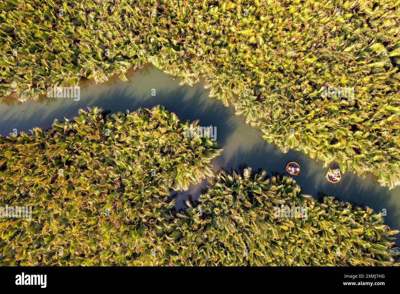 VIEW OF RUNG DUA BAY MAU OR COCONUT WATER ( MANGROVE PALM ) FOREST 7 ...