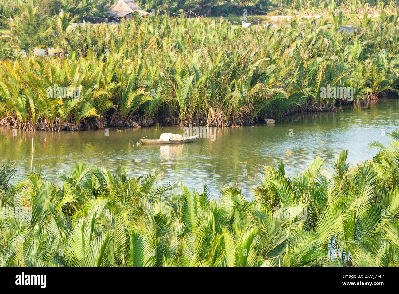 VIEW OF RUNG DUA BAY MAU OR COCONUT WATER ( MANGROVE PALM ) FOREST 7 ...