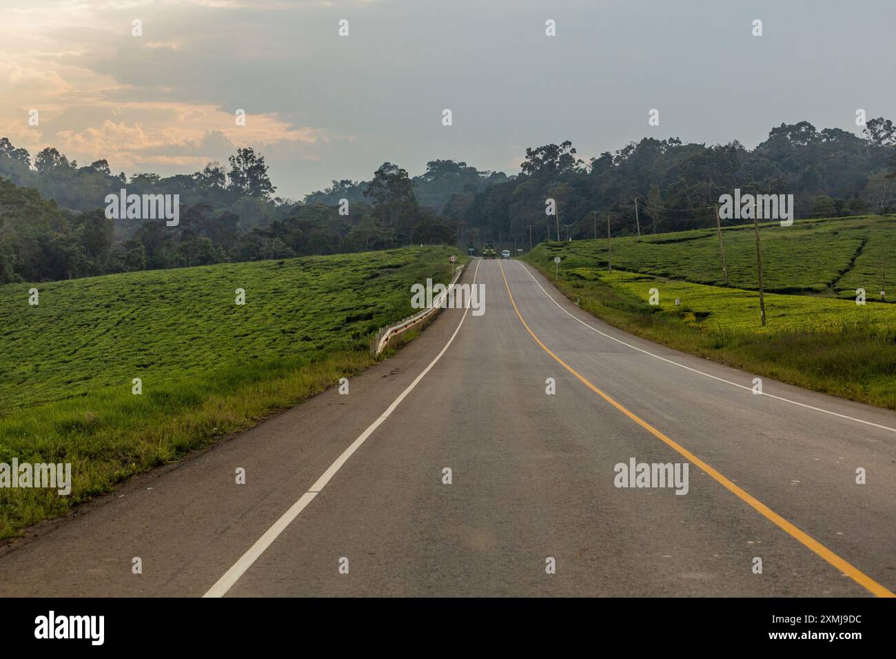 Mubende - Fort Portal road through tea plantations, Uganda Stock Photo ...