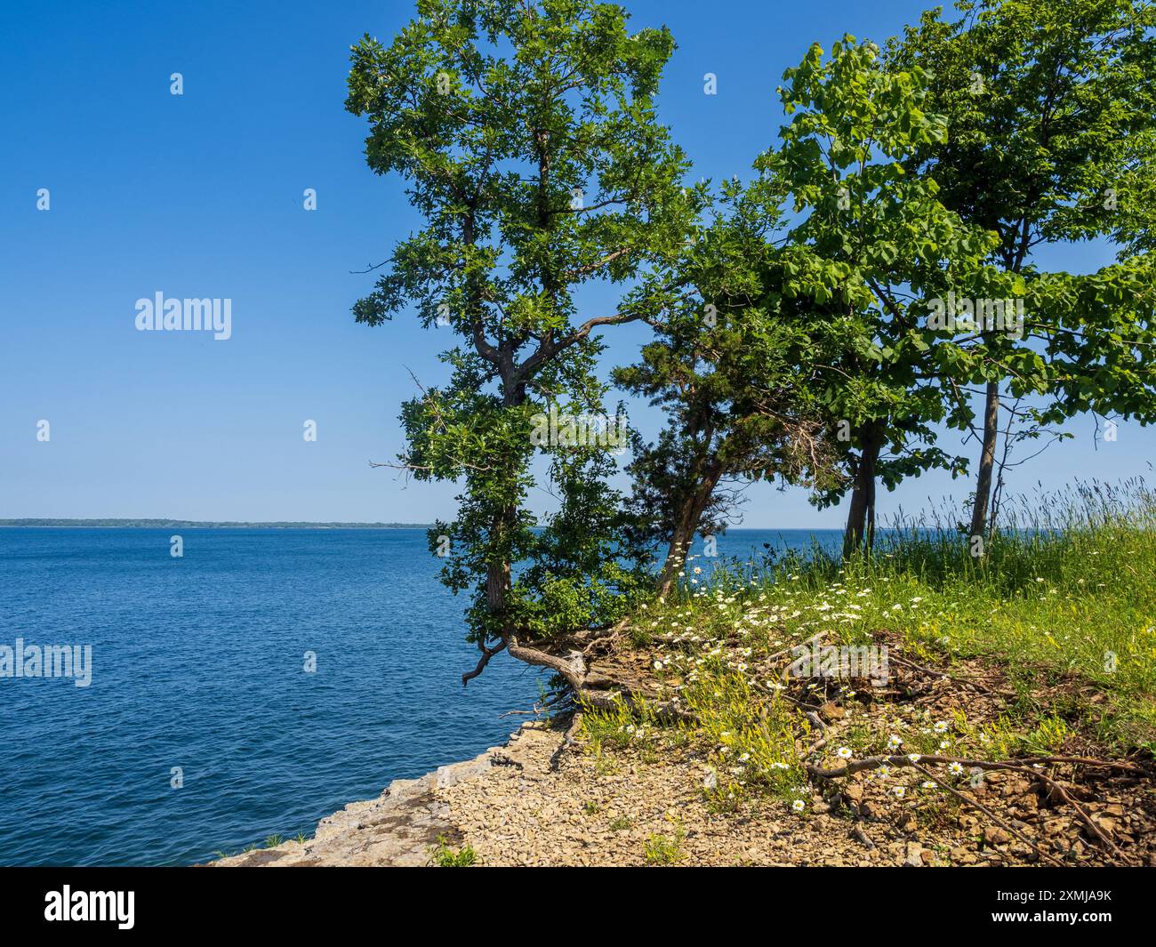 On Snakefoot Trail at Robert G. Wehle State Park in upstate New York ...