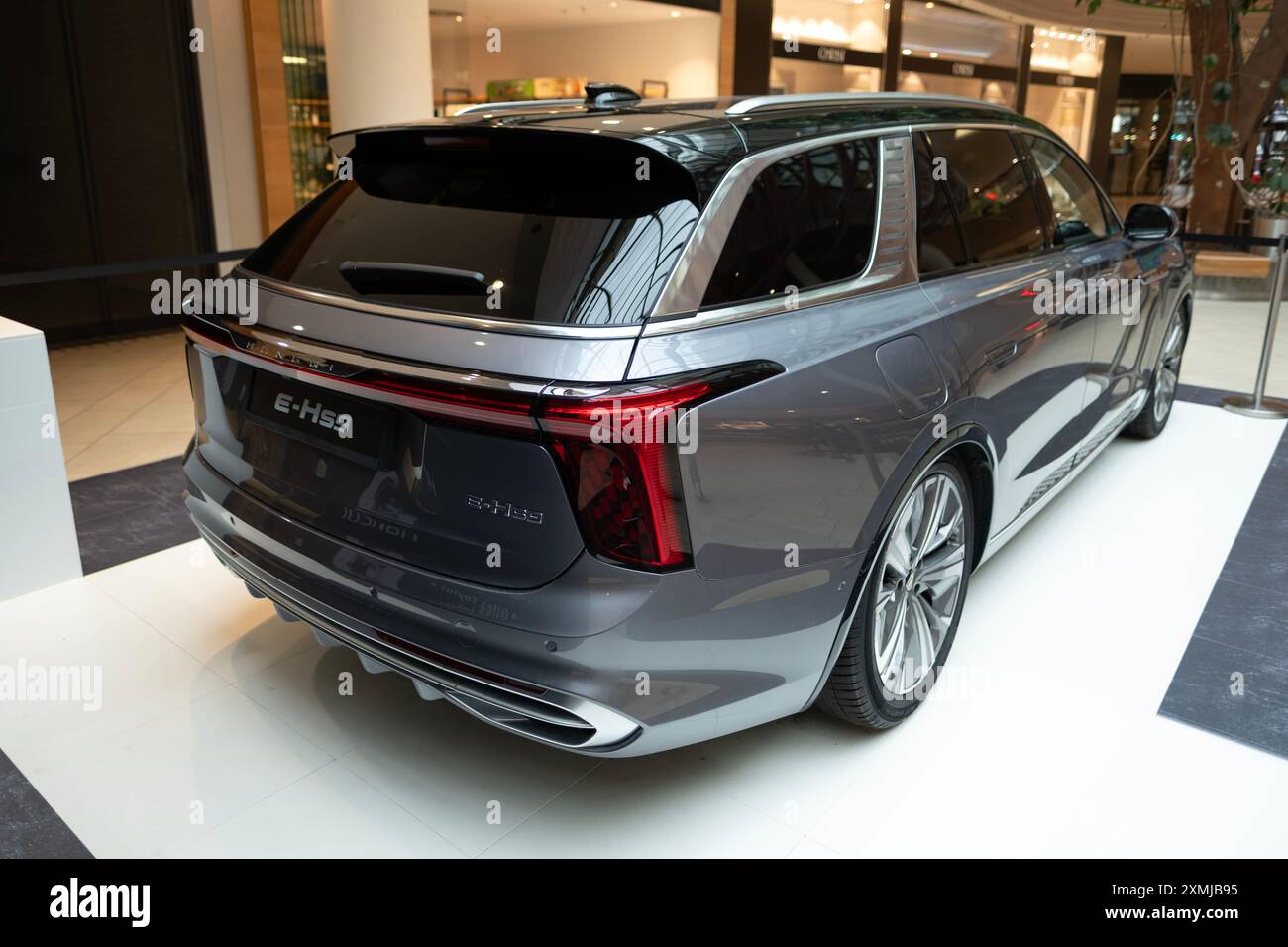 silver Hongqi E-HS9 electric full-size luxury SUV, rear view Chinese ...