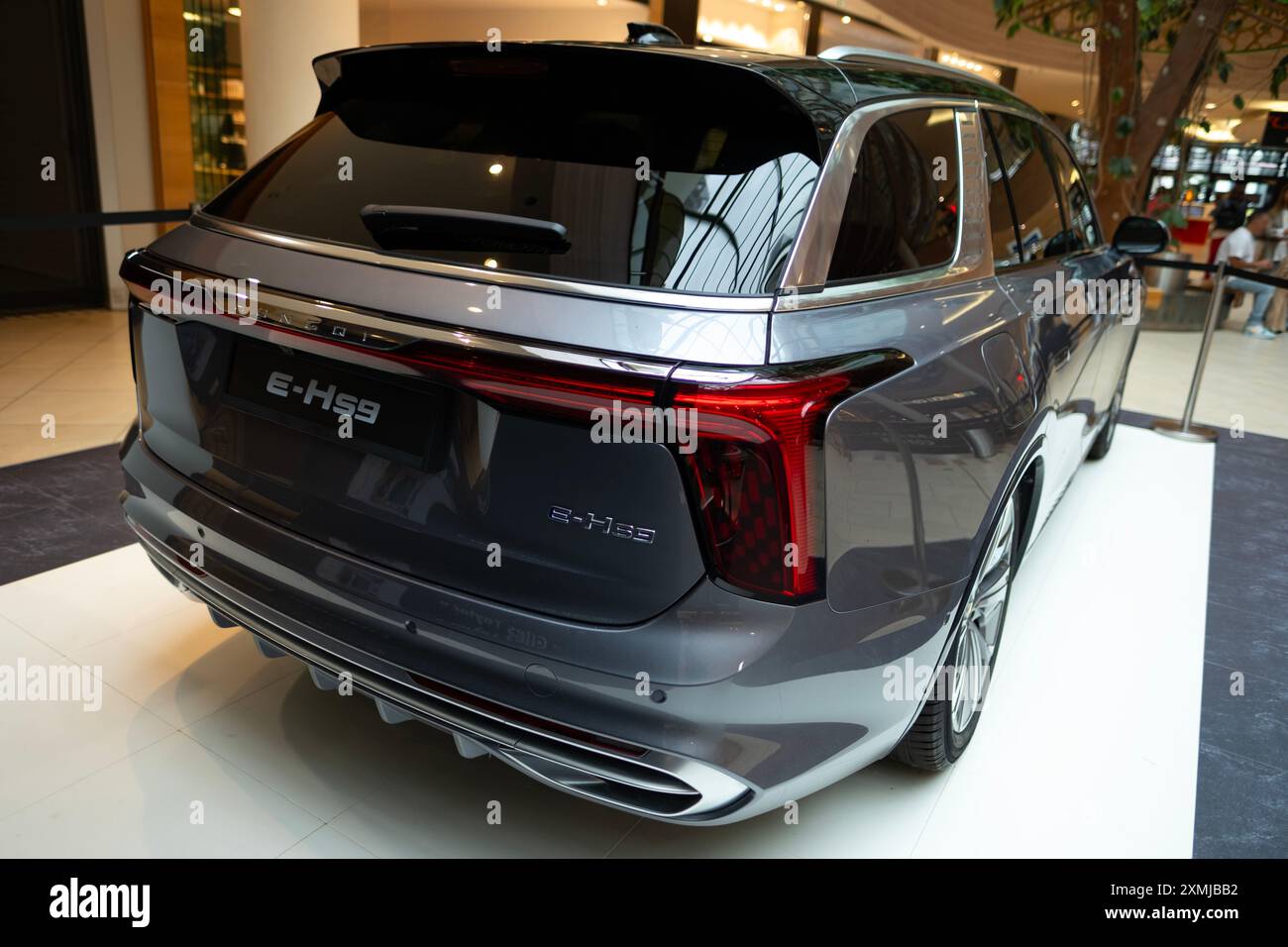 silver Hongqi E-HS9 electric full-size luxury SUV, rear view Chinese ...