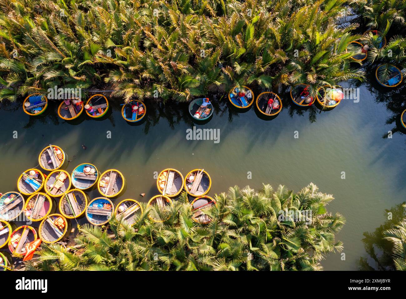 VIEW OF RUNG DUA BAY MAU OR COCONUT WATER ( MANGROVE PALM ) FOREST 7 ...