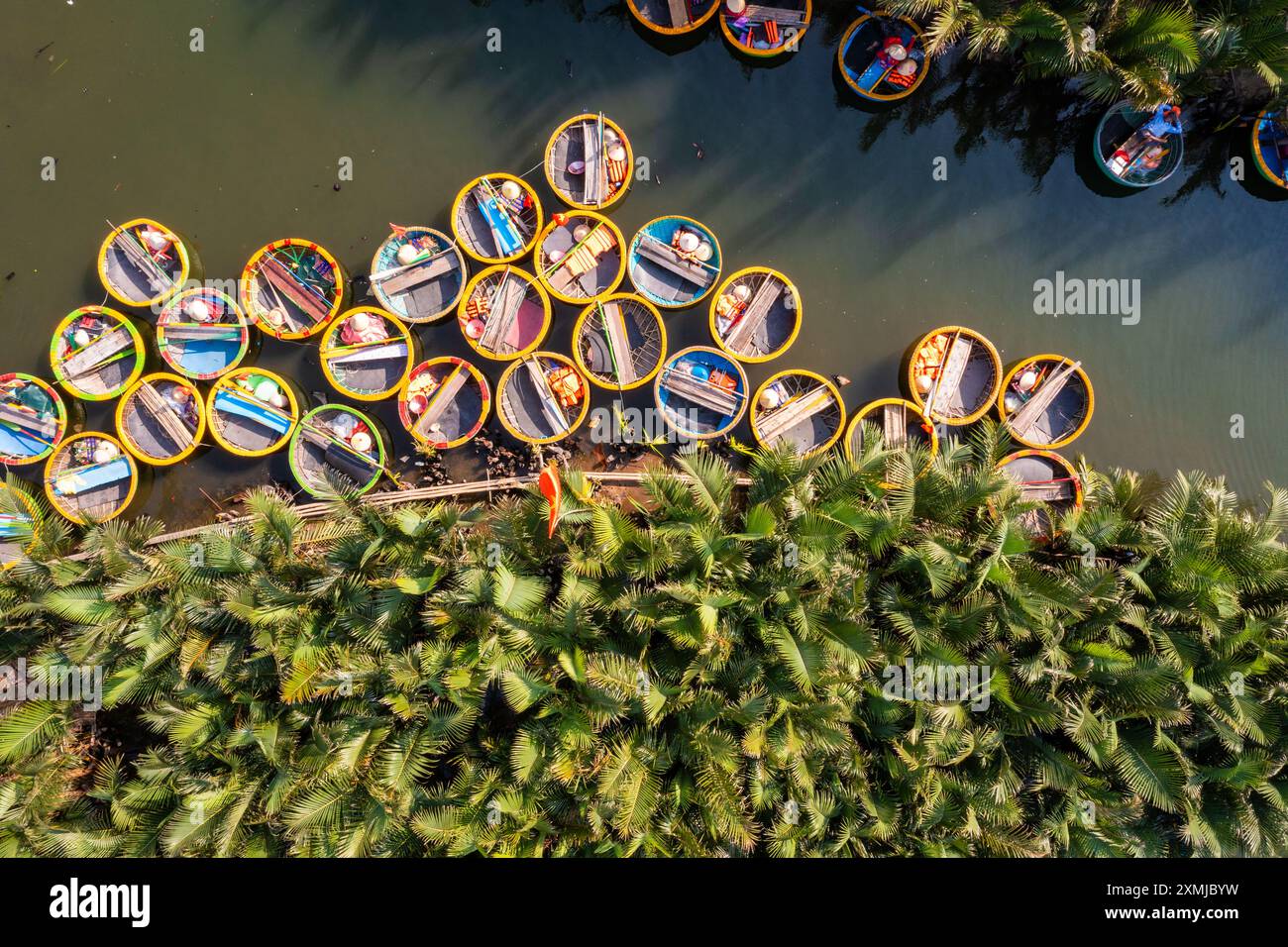 VIEW OF RUNG DUA BAY MAU OR COCONUT WATER ( MANGROVE PALM ) FOREST 7 ...