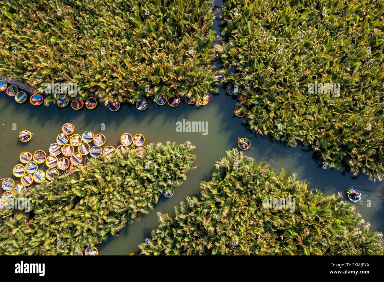 VIEW OF RUNG DUA BAY MAU OR COCONUT WATER ( MANGROVE PALM ) FOREST 7 ...