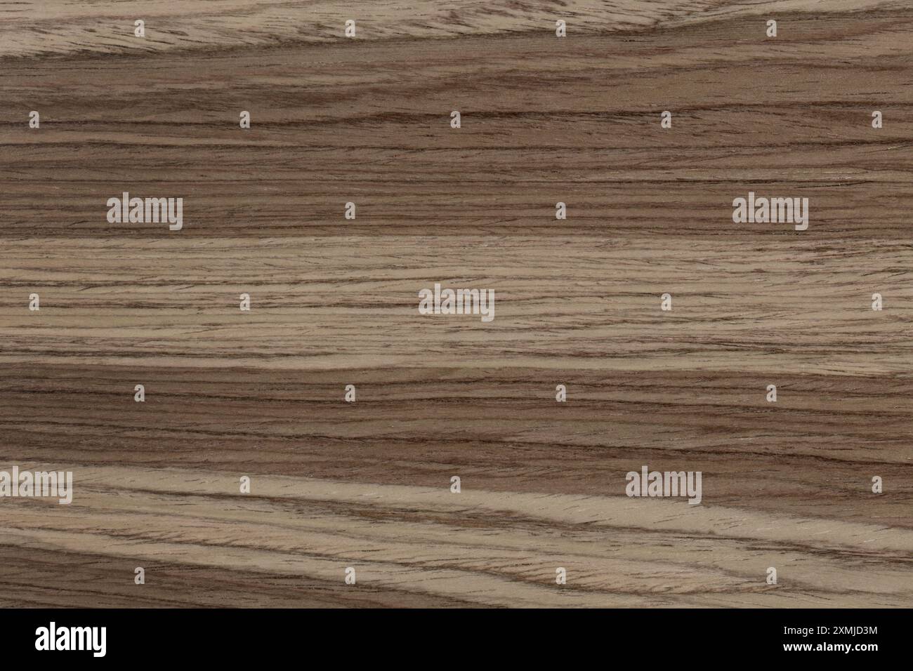 American walnut hi-res stock photography and images - Alamy