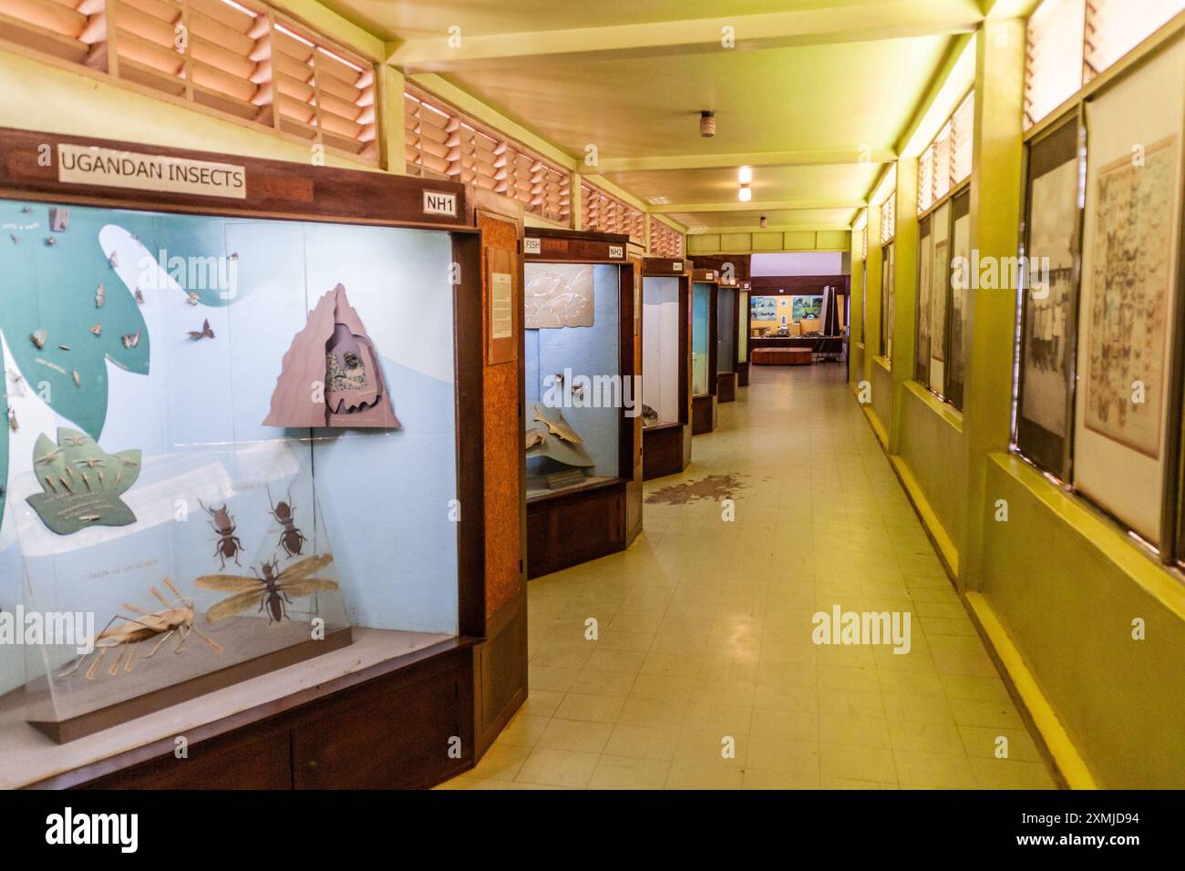 KAMPALA, UGANDA - MARCH 1, 2020: Exhibits in the Uganda Museum in ...