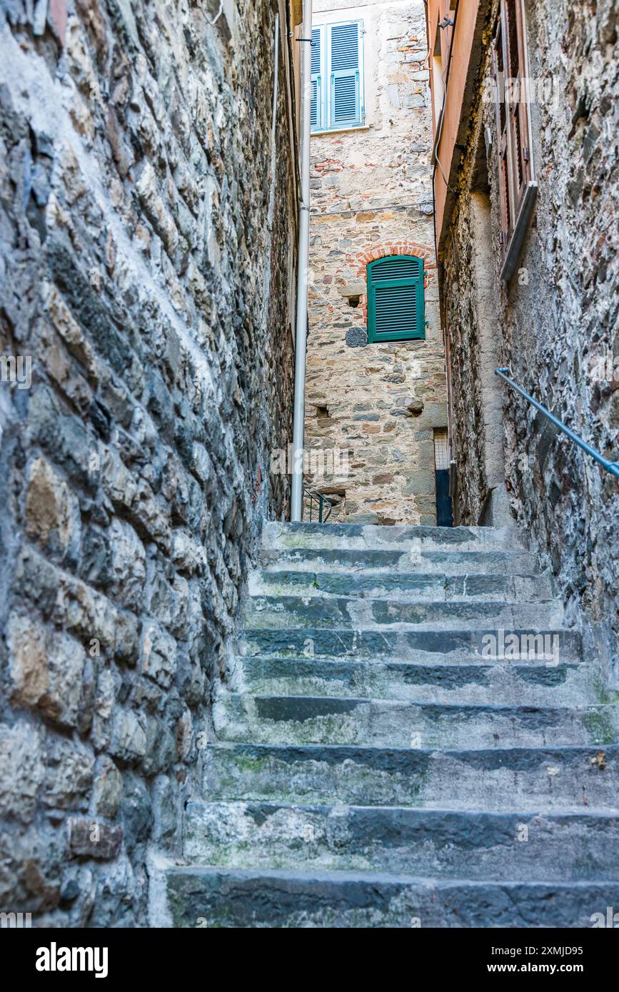 Vineyard rails hi-res stock photography and images - Alamy