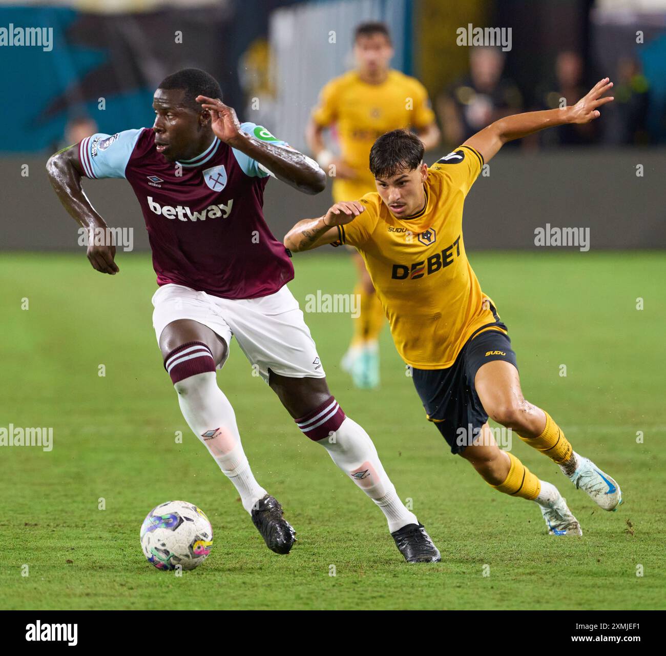 Rodrigo gomes wolves hi-res stock photography and images - Alamy