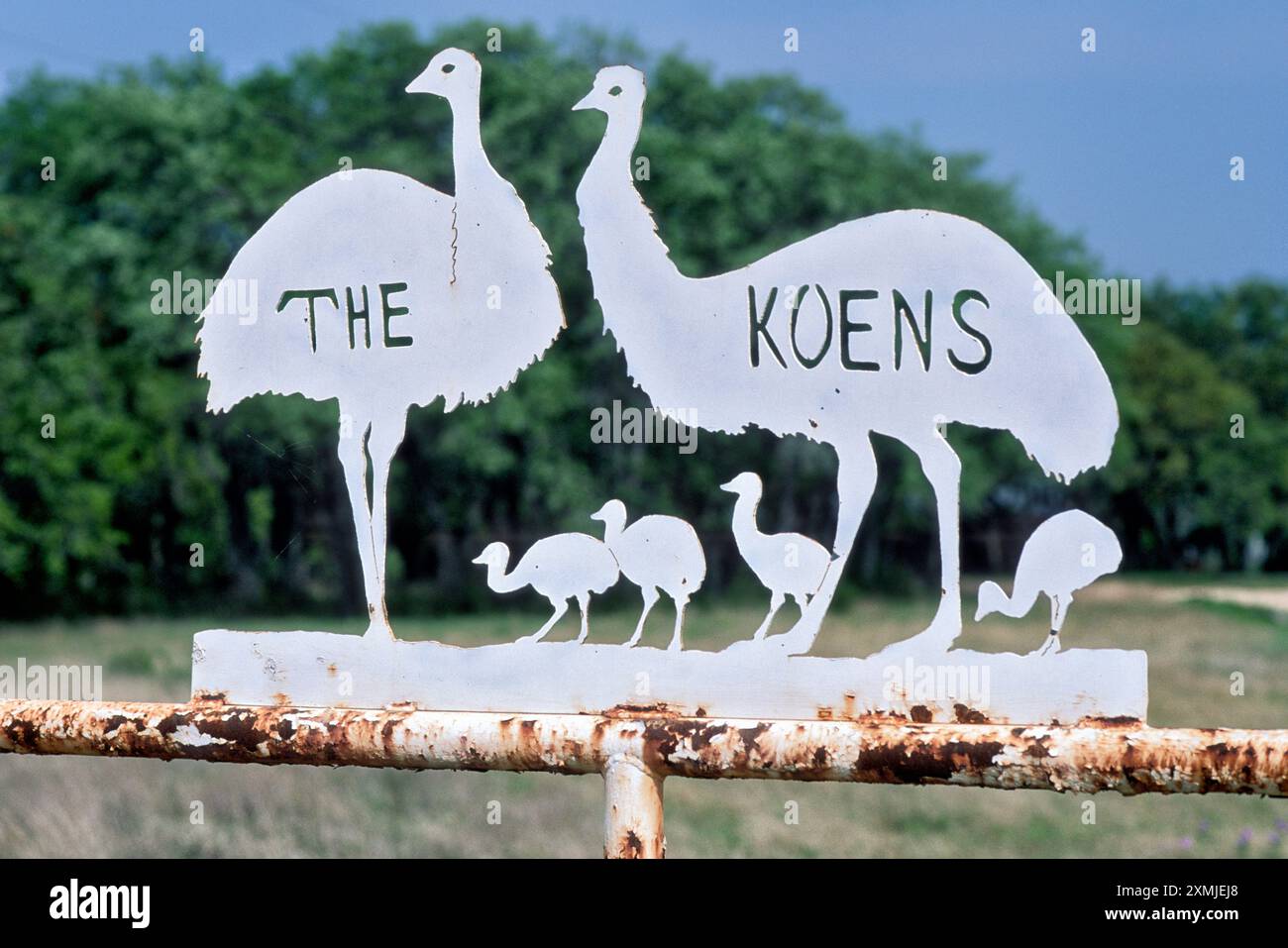 Ostrich images at wrought iron sign at ranch entrance, Hays County ...