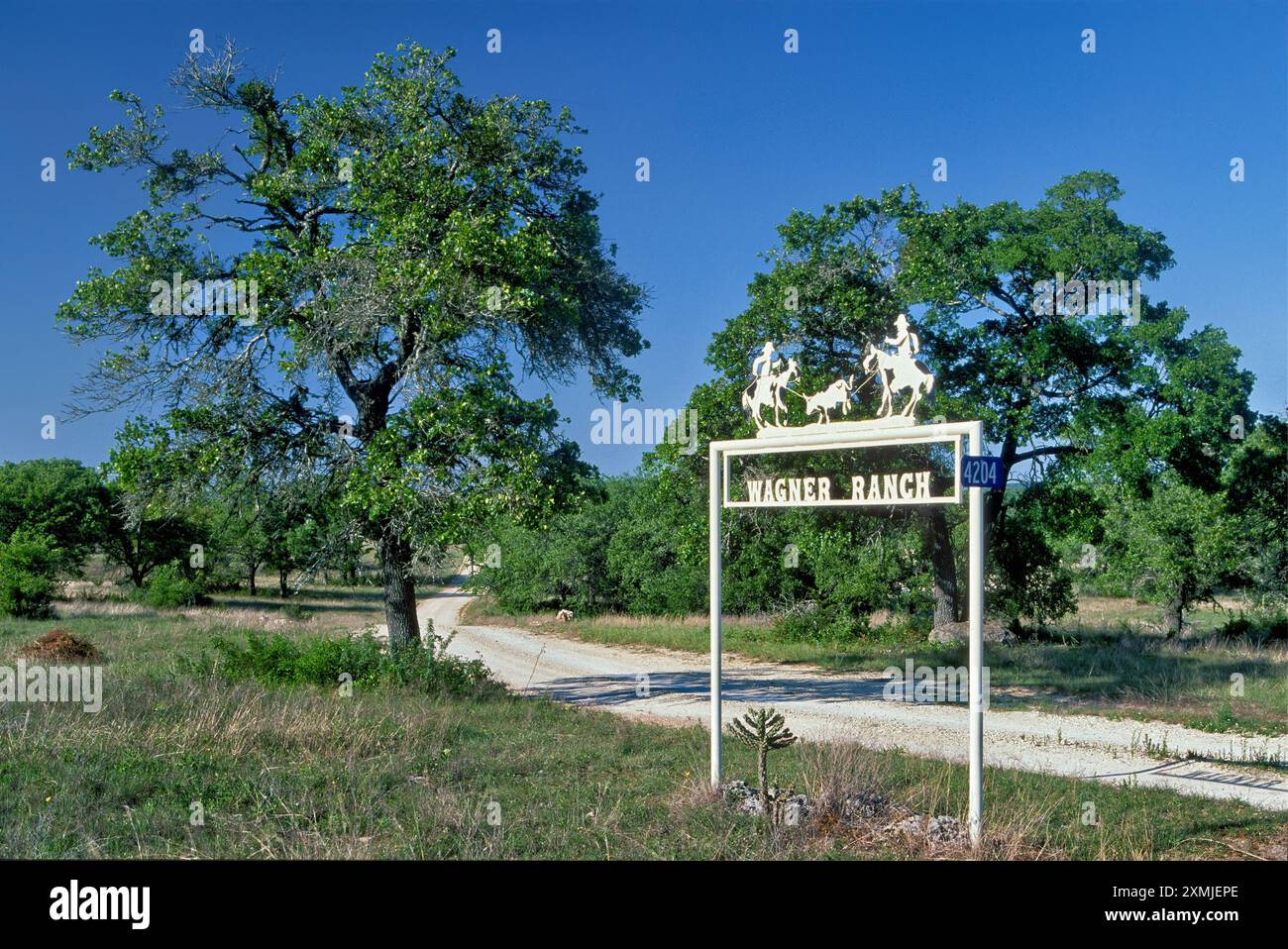 Roping a steer scene at wrought iron sign at ranch entrance, Blanco ...