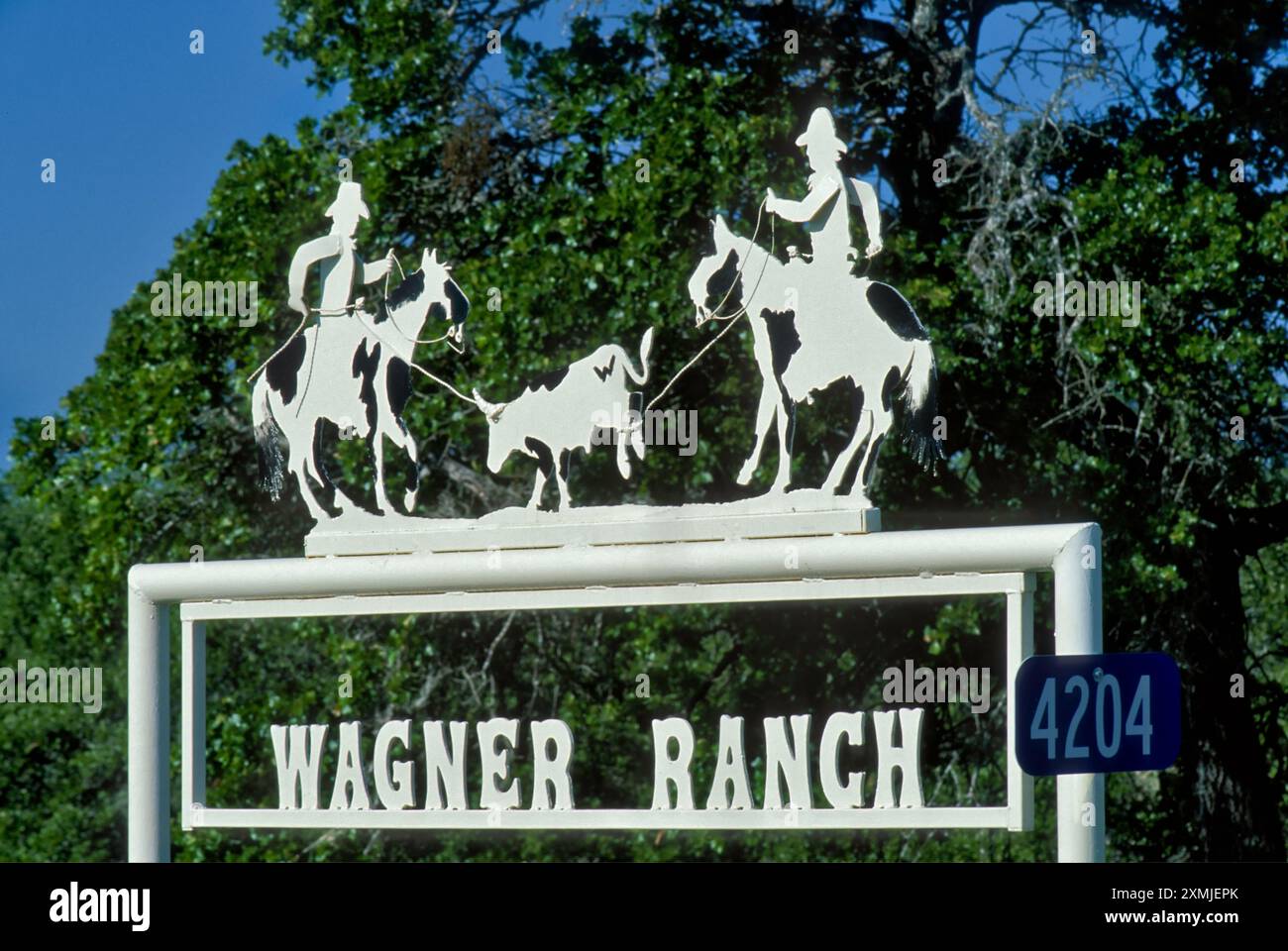 Roping a steer scene at wrought iron sign at ranch entrance, Blanco ...