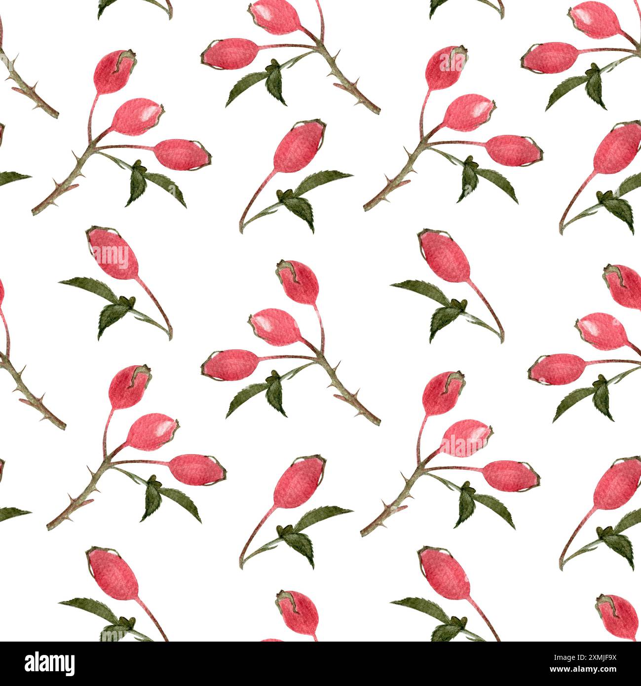 Rose-hip twigs seamless watercolor pattern isolated on white. Hand ...