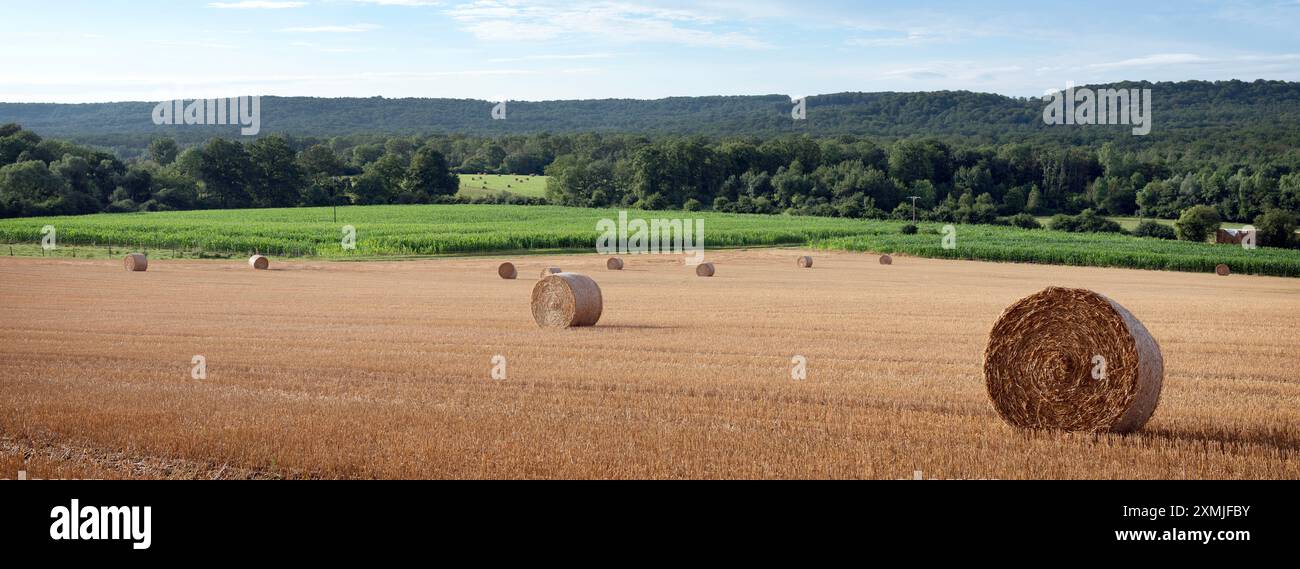St quentin region hi-res stock photography and images - Alamy