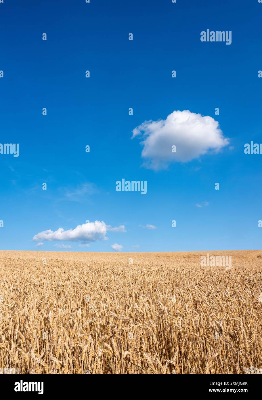 Almost abstract environment hi-res stock photography and images - Alamy