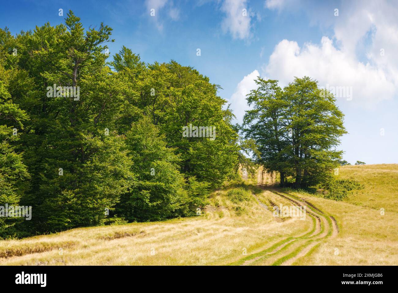 Up slope hill uphill hi-res stock photography and images - Alamy