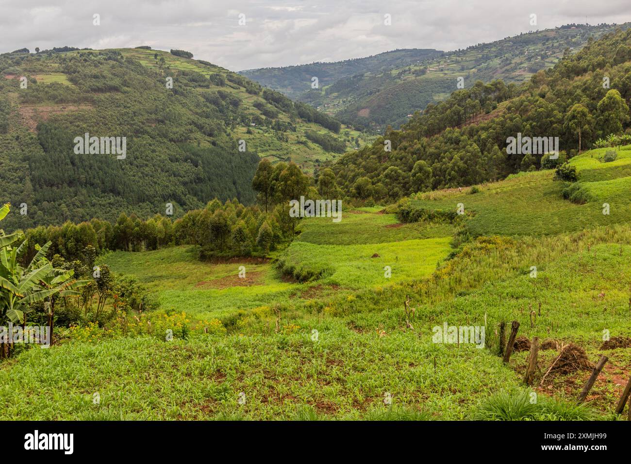 Lush landscape near Kabale, Uganda Stock Photo - Alamy