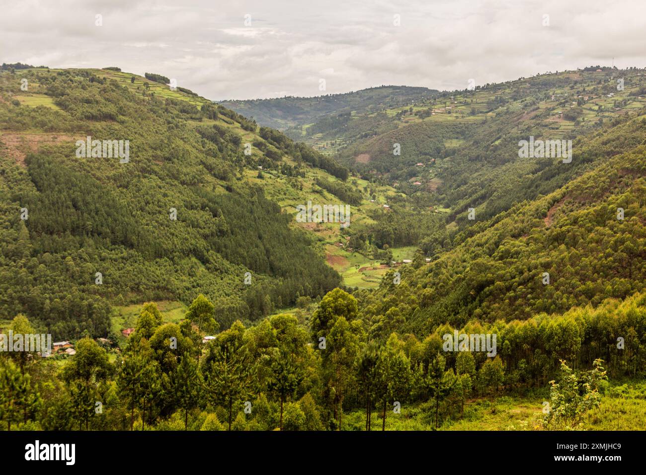 Lush landscape near Kabale, Uganda Stock Photo - Alamy