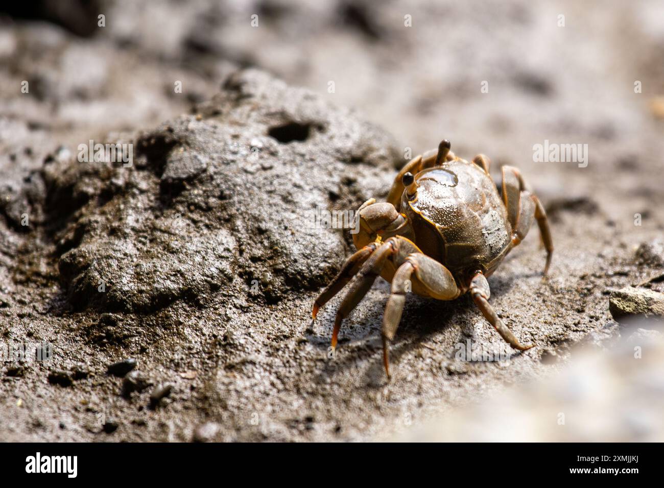 Across various regions hi-res stock photography and images - Alamy