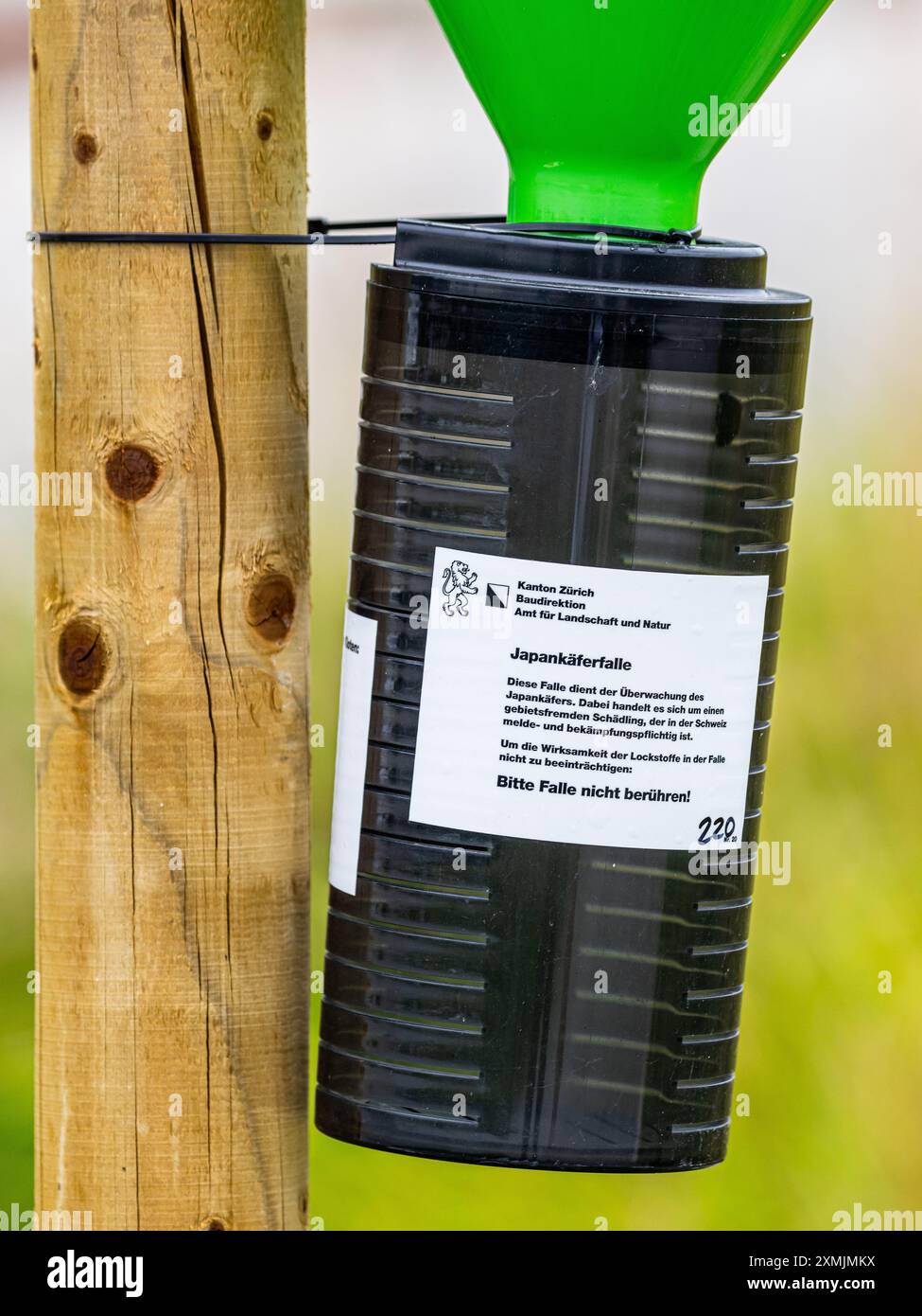 Japanese beetle trap popillia japonica hi-res stock photography and ...