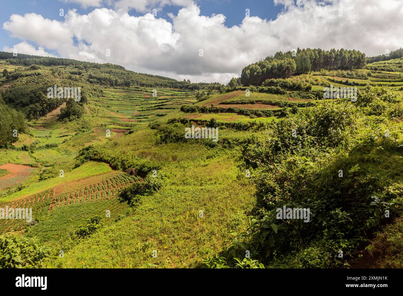 Lush landscape near Kabale, Uganda Stock Photo - Alamy