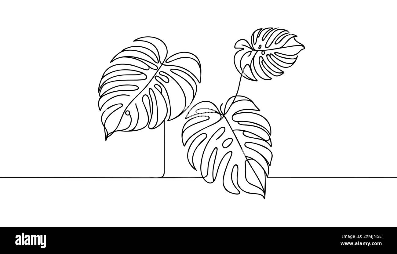 monstera leaf continuous one line drawing summer tropical leaf hand ...