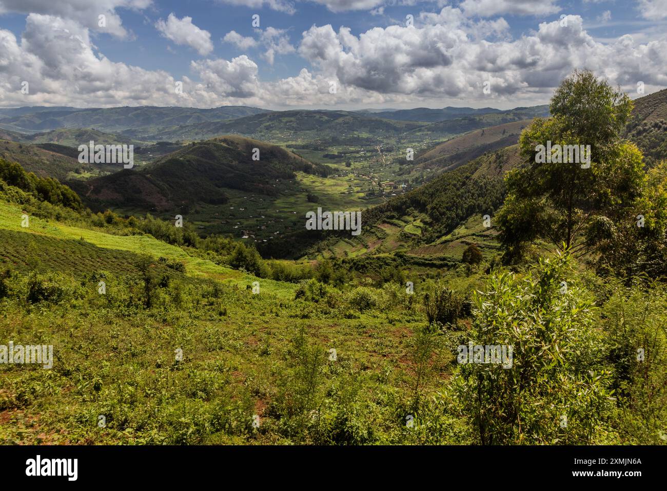 Lush landscape near Kabale, Uganda Stock Photo - Alamy