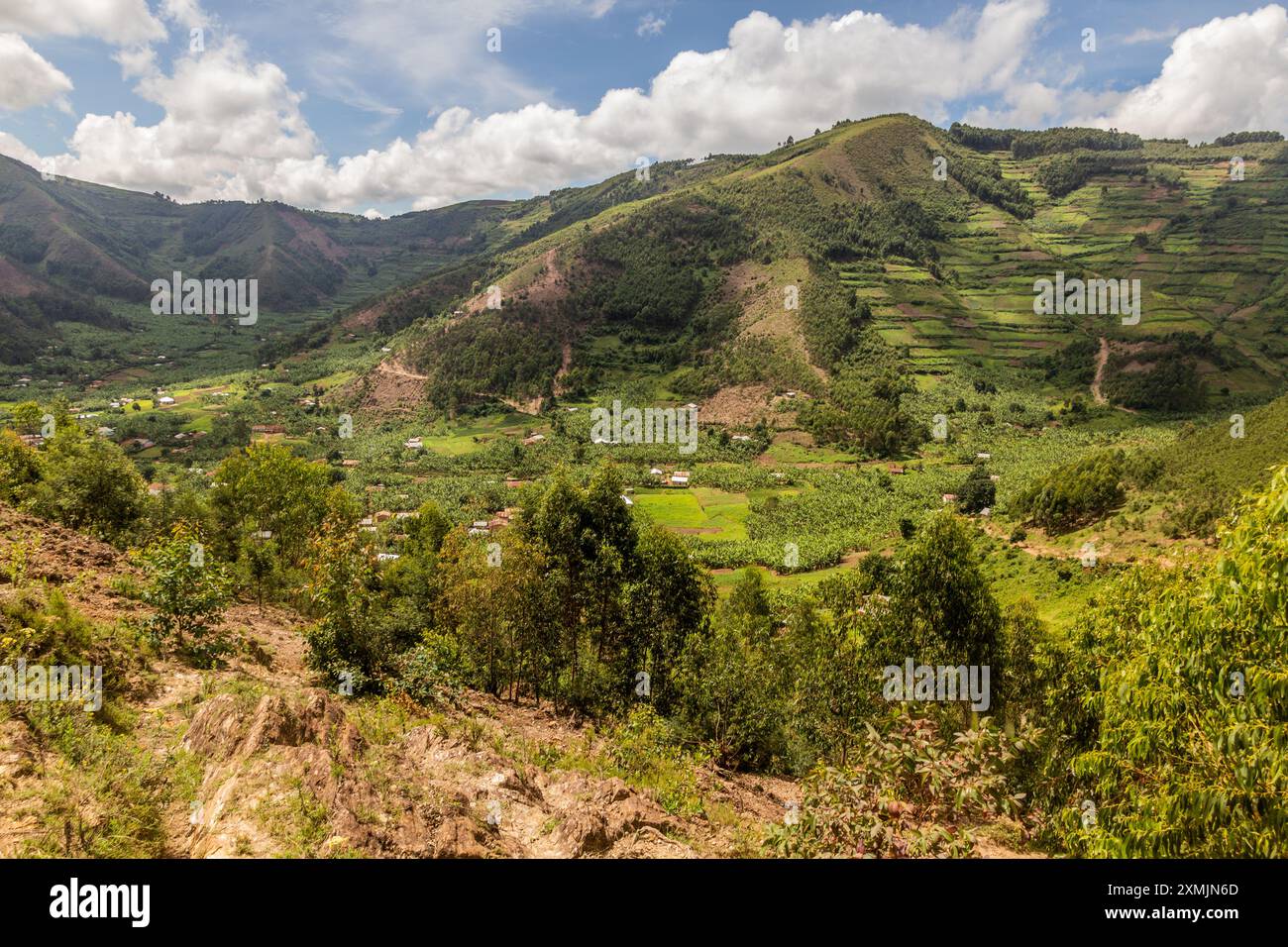 Lush landscape near Kabale, Uganda Stock Photo - Alamy