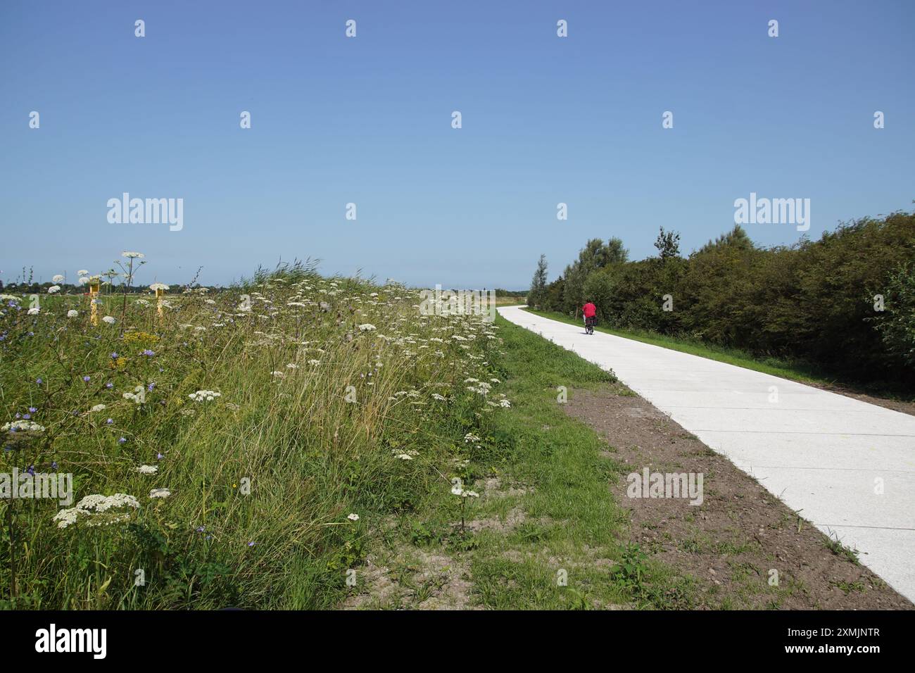 Dutch cycle path with new road surface along the dike with grass and ...
