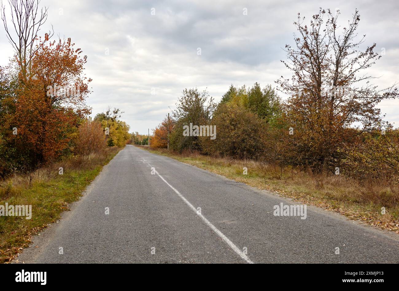 Asphalt country road near trees. Suburban road at rural Europe Stock ...