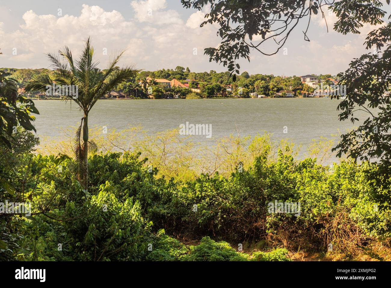 Lake Victoria viewed from Entebbe Botanical Gardens, Uganda Stock Photo ...