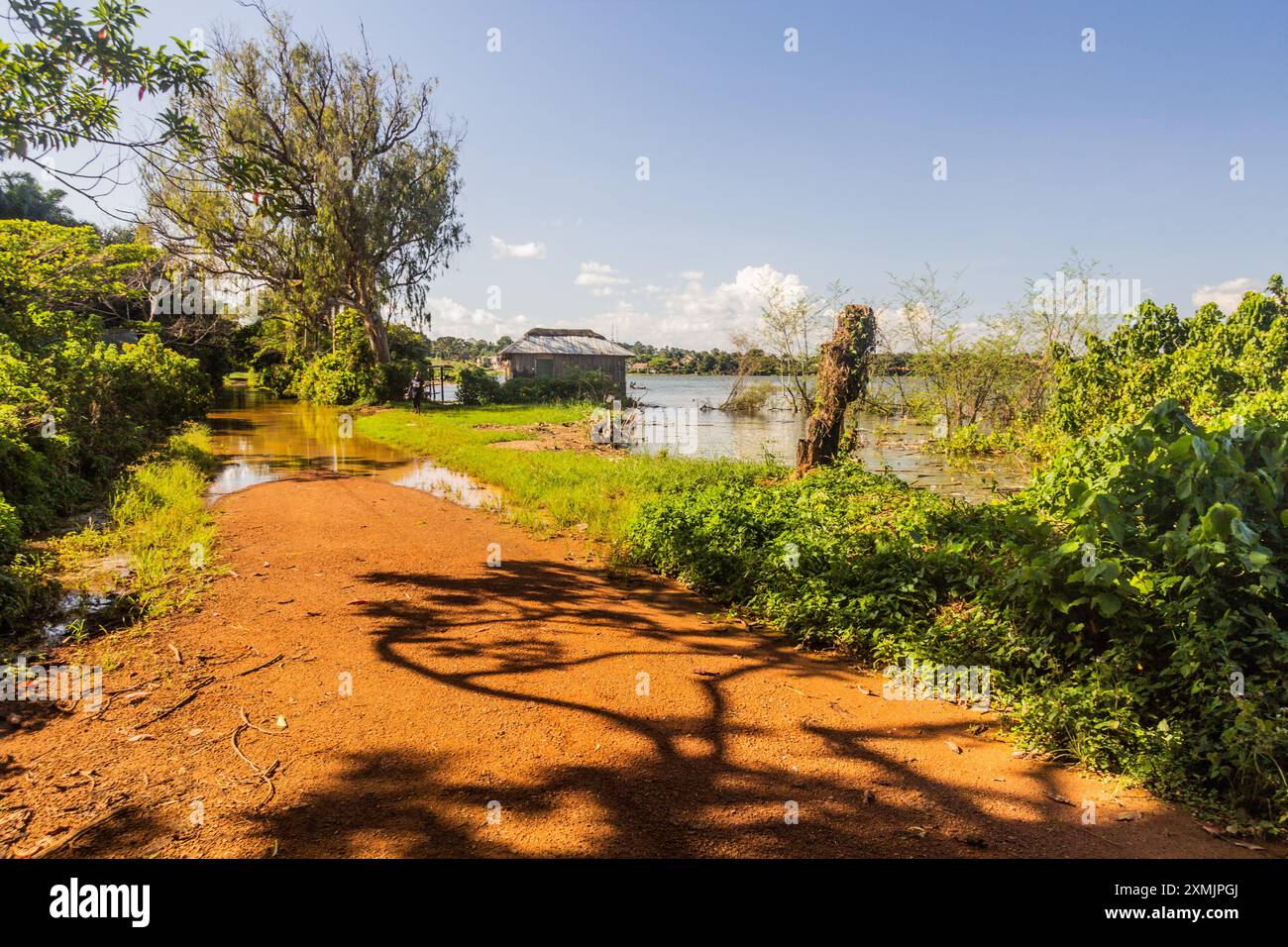 Lake Victoria viewed from Entebbe Botanical Gardens, Uganda Stock Photo ...