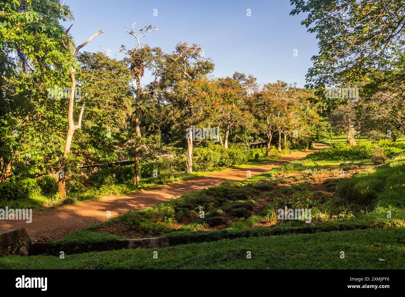 Entebbe botanical garden hi-res stock photography and images - Alamy