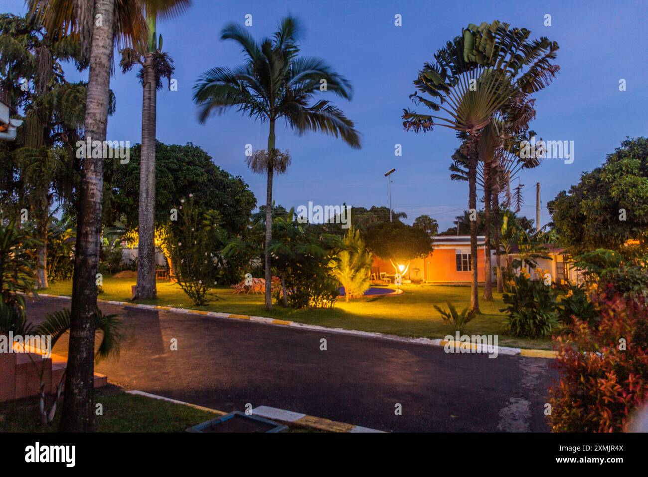 Night view plant park garden garden landscape hi-res stock photography ...