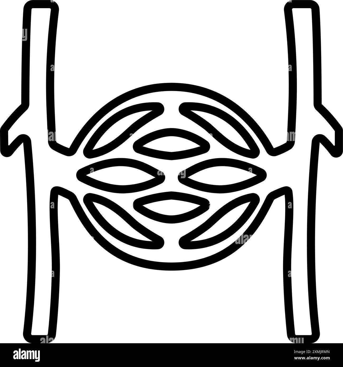 Capillary, artery, vein, human, internal, organ, blood Stock Vector ...