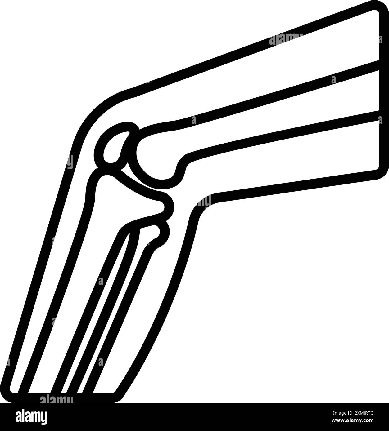 Skeletal System, bones, joint, knee, anatomy, internal, organ Stock ...