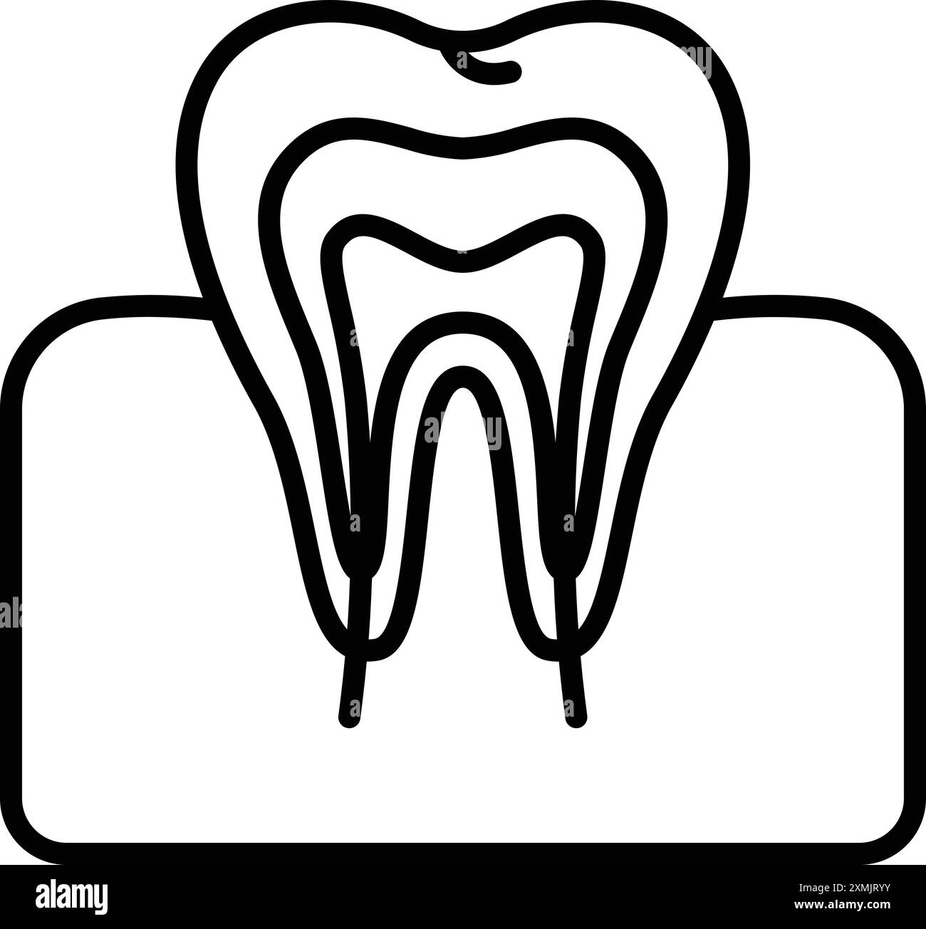 teeth, tooth, gum, Chewing system, internal, organ, human Stock Vector ...