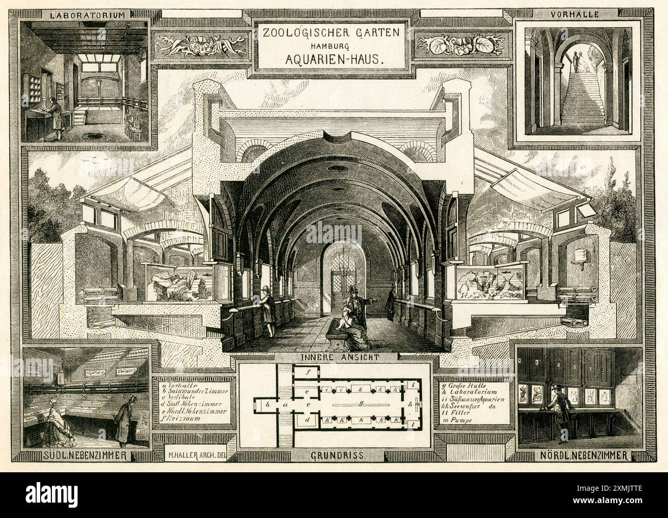 19 century aquarium hi-res stock photography and images - Alamy