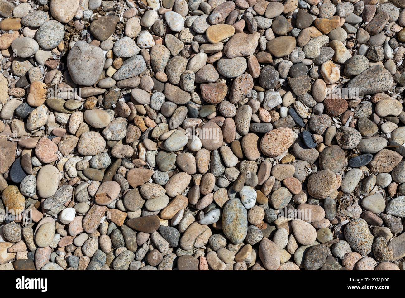 Natural Pebble Beach Texture Background Stock Photo - Alamy