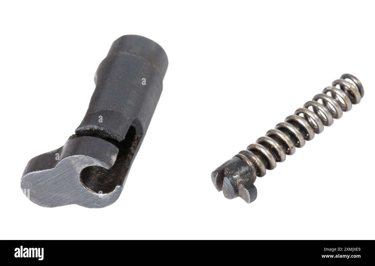 Isolated magazine catch, spring and spring guide for a semi-automatic ...