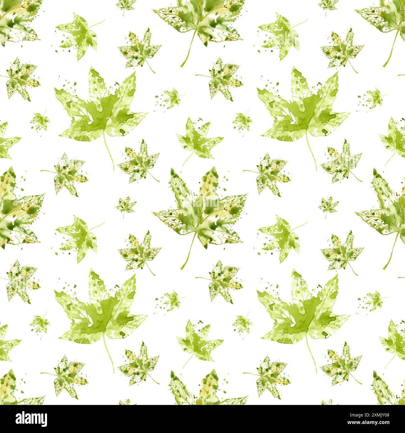 Yellow green maple leaves. Leaf imprints. Flying leaves with watercolor ...